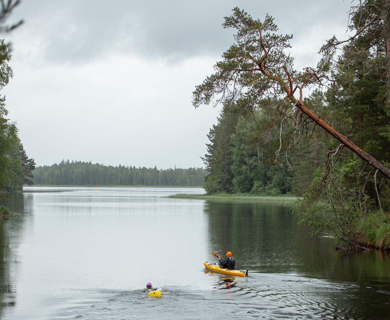 Ny rekordtid i Vansbro 10K | Vansbrosimningen